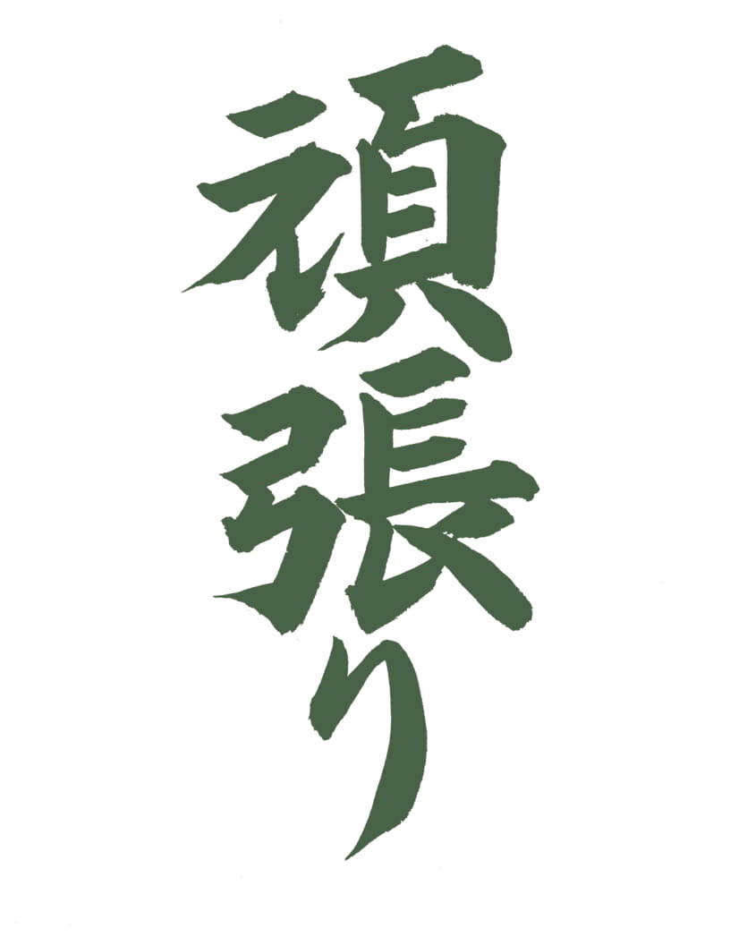 Hawaii Nikkei Culture - Nisei Veterans Legacy